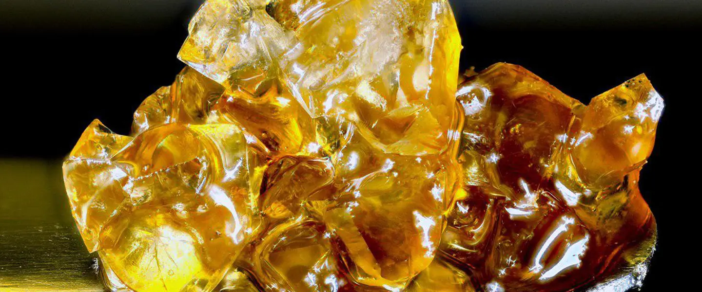 Choosing the right type of cannabis resin - XylemTech