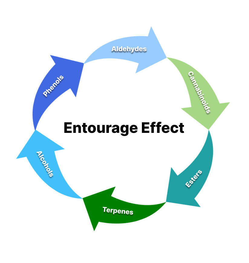 How Temperature Impacts Terpenes and Volatile Compounds - XylemTech